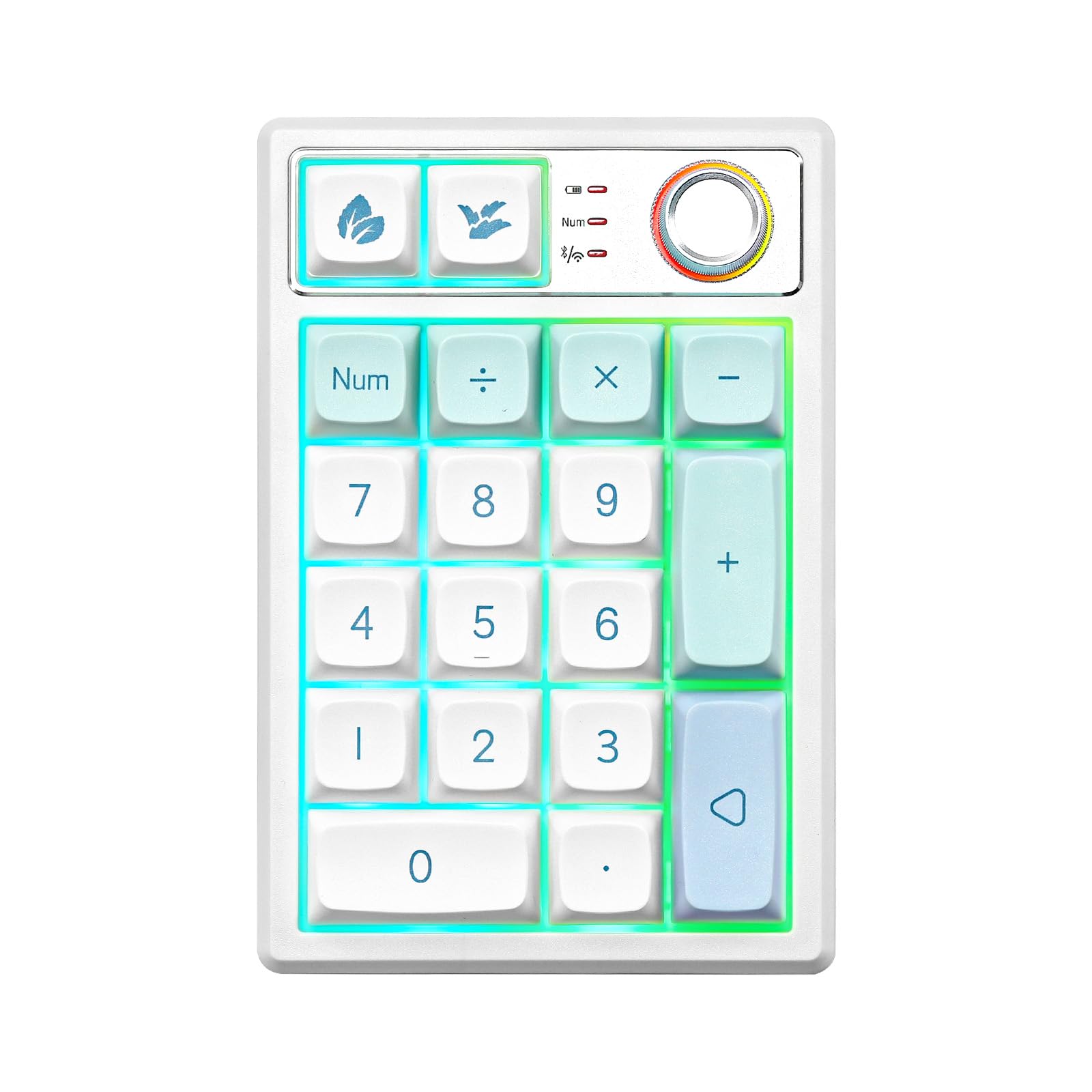 YUNZII YZ19 Wireless Mechanical Number Pad,19 Keys Numeric Keypad with ...