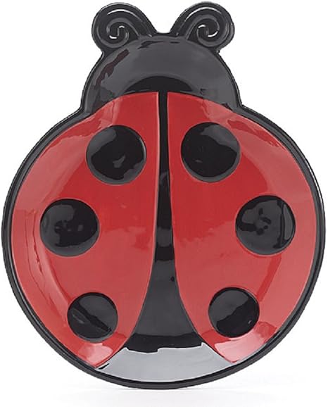 Amazon.com | Whimsical Ladybug Ceramic Serving Platter/Plate Adorable ...