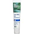 Amazon.com: Desert Essence Tea Tree Oil Toothpaste - Mint - 6.25 Ounce ...