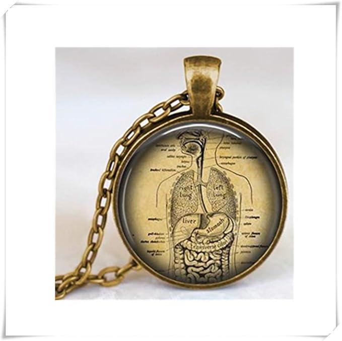 Amazon.com: Human anatomy necklace, human anatomy pendant: Clothing