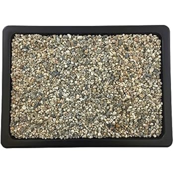 Amazon.com : 9GreenBox - Bonsai Humidity Drip Tray 7" x 9" with Pebbles ...