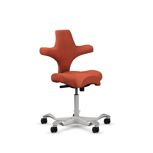 HAG Capisco Adjustable Sit to Stand Desk Chair - Silver Frame - Burnt ...