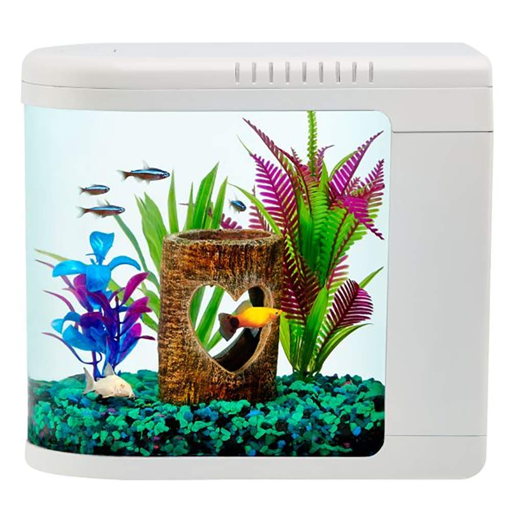 Buy Top Fin Fish Eye View 2 Gallons Aquarium - Perfect for Betta Fish ...