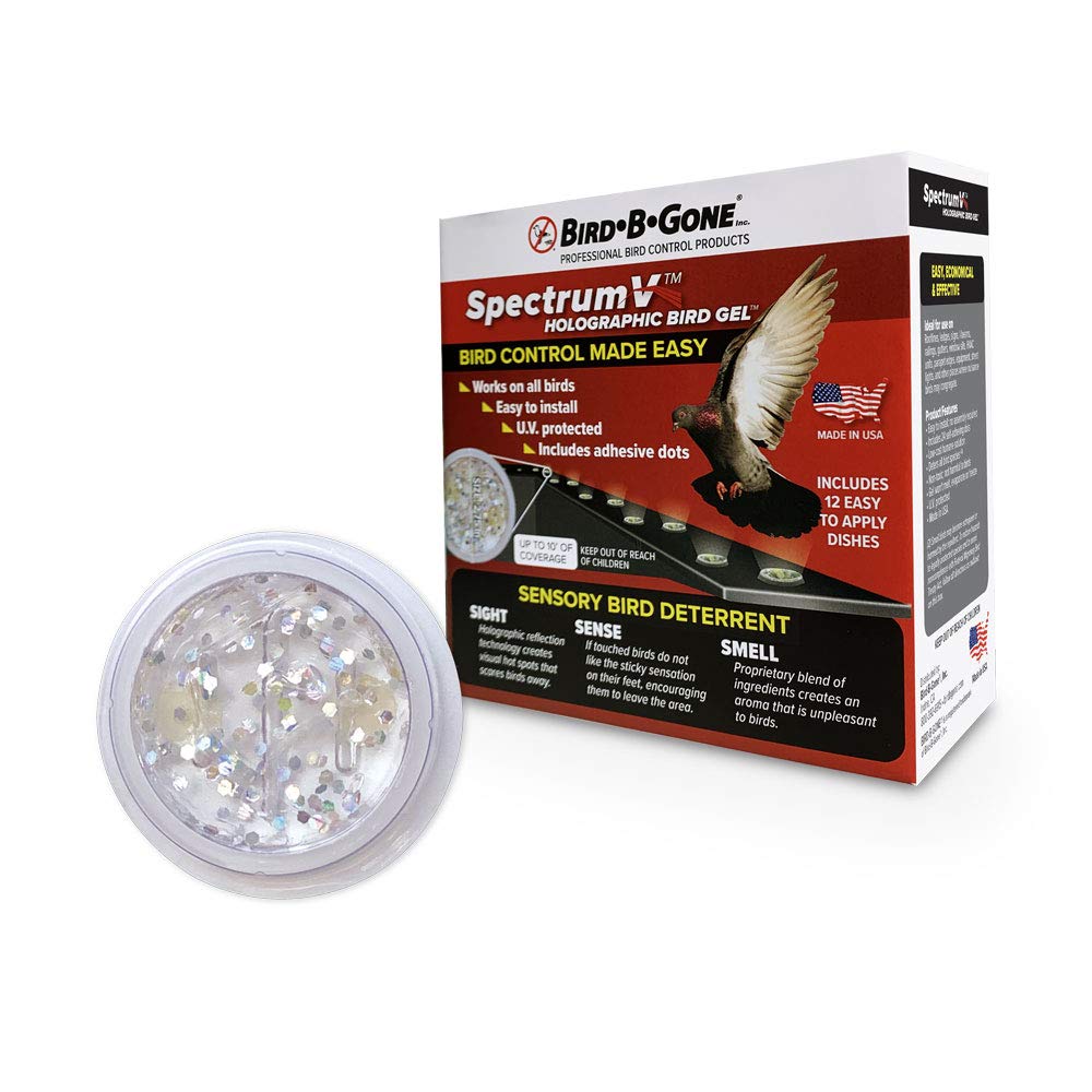 Bird B Gone - SpectrumV Holographic Bird Gel - Bird Repellent Gel ...