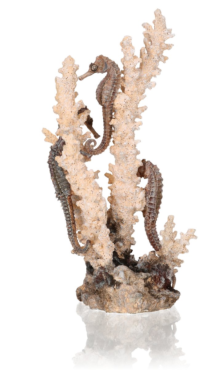 Mua biOrb Medium Seahorse Sculpture, Ceramic Resin Centerpiece for ...