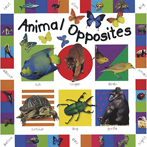 Animal Opposites: 9781740477406: Amazon.com: Books