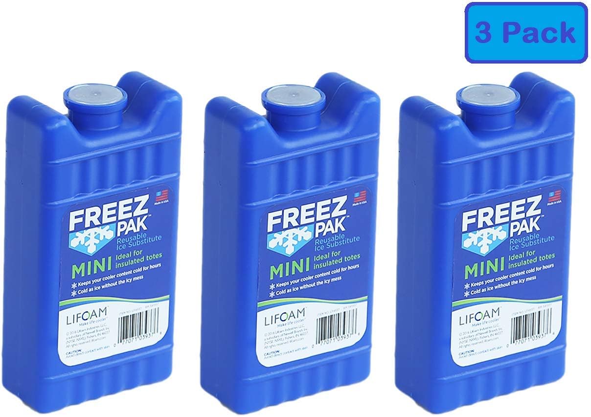Amazon.com: Lifoam Mini Freez Pak 4937 Reusable Ice Pack 8.5 Ounce ...