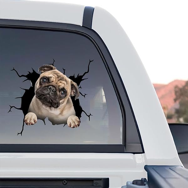 Pug Car Window Memes