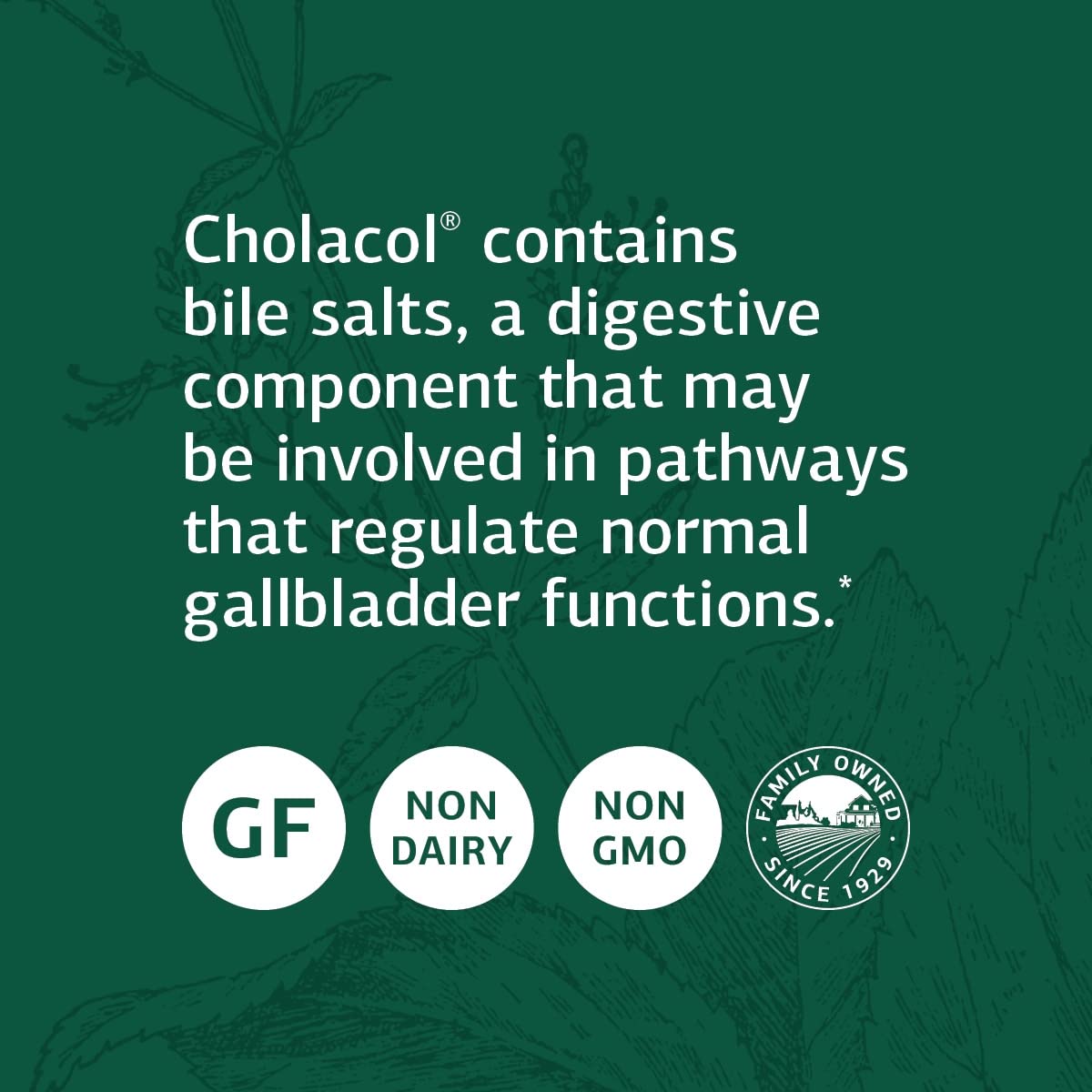 Mua Standard Process Cholacol - Gallbladder Support Supplement - Fat ...