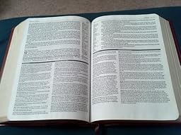 NLT Parallel Study Bible: Tyndale: 9781414339252: Amazon.com: Books