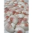 Amazon.com: Bulk Pink Rose Cup Tellin Seashells, Pink Seashell, Craft ...