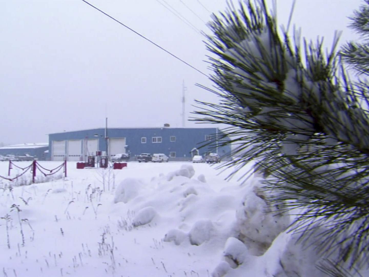 Watch American Loggers - Season 1 | Prime Video