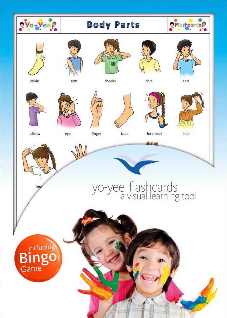 Mua Body Parts Flash Cards in English with Matching Bingo Game Cards in ...