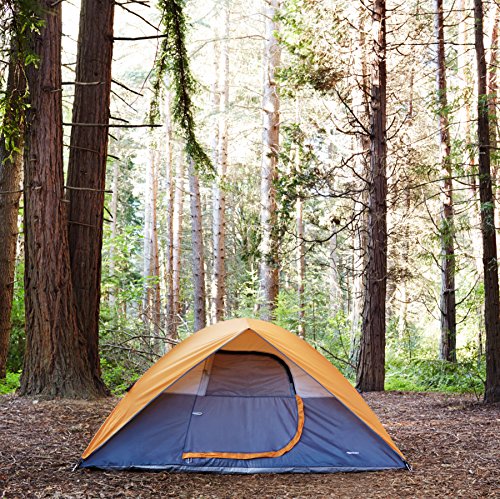 AmazonBasics Tent - Camp Stuffs