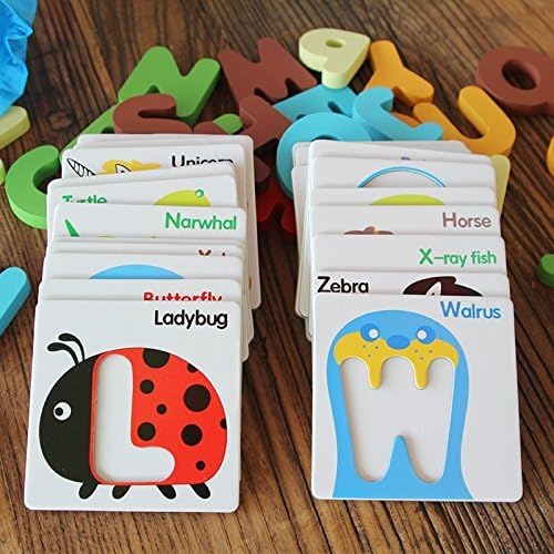 JUNICON ABC Alphabet Letter Learning Cards 26 Cognitive Cardboard ...