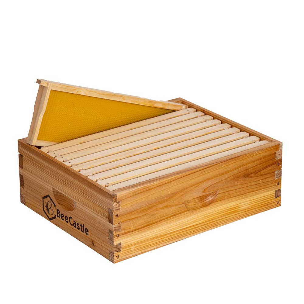 Mua BeeCastle 10 Frame Medium Super Bee Hive Box, Langstroth Honey Bee ...