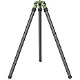 Amazon.com : Fatboy Tripods Elevate 2 Section Tripod - Carbon Fiber and ...