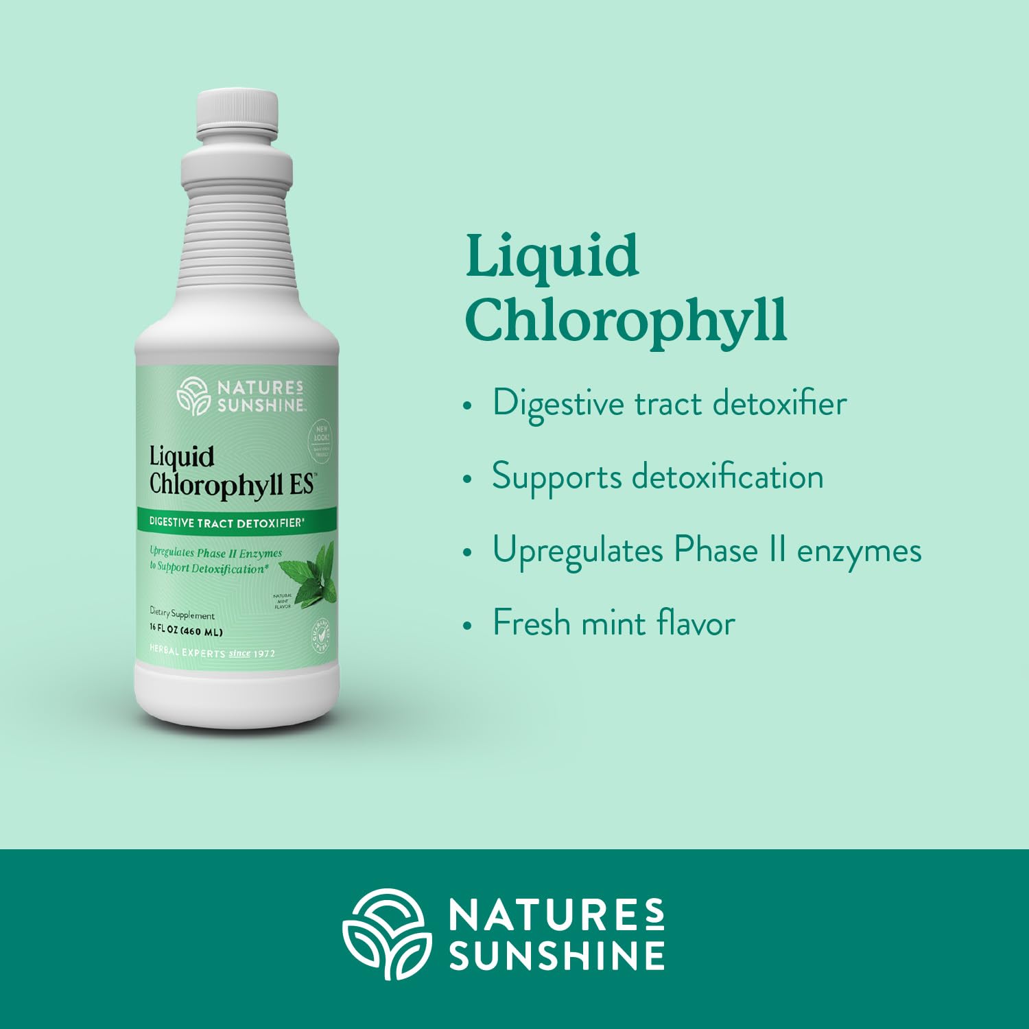 Mua Liquid Chlorophyll Extra Strength - Immunity Support, Detox ...