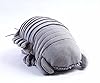 ZHONGXIN MADE Giant Isopod Plush - Lifelike 13inch Isopod Stuffed ...