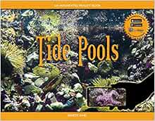 Tide Pools: An Augmented Reality Book: Ernest King: 9781732937802 ...