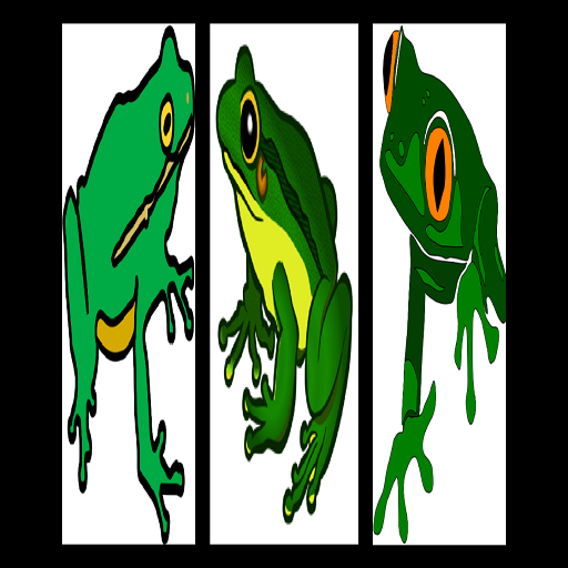 Frog Croaking Sounds:Amazon.com:Appstore for Android