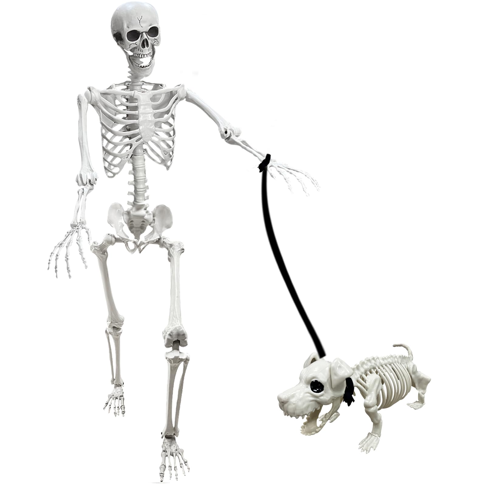Mua 5.4Ft Posable Life Size Human Adult Skeletons with Dog Skeleton ...