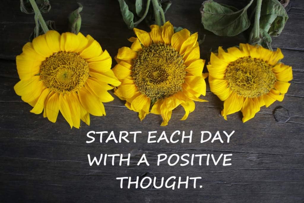 Amazon.com: Start Each Day with Positive Thought Yellow Sunflowers ...