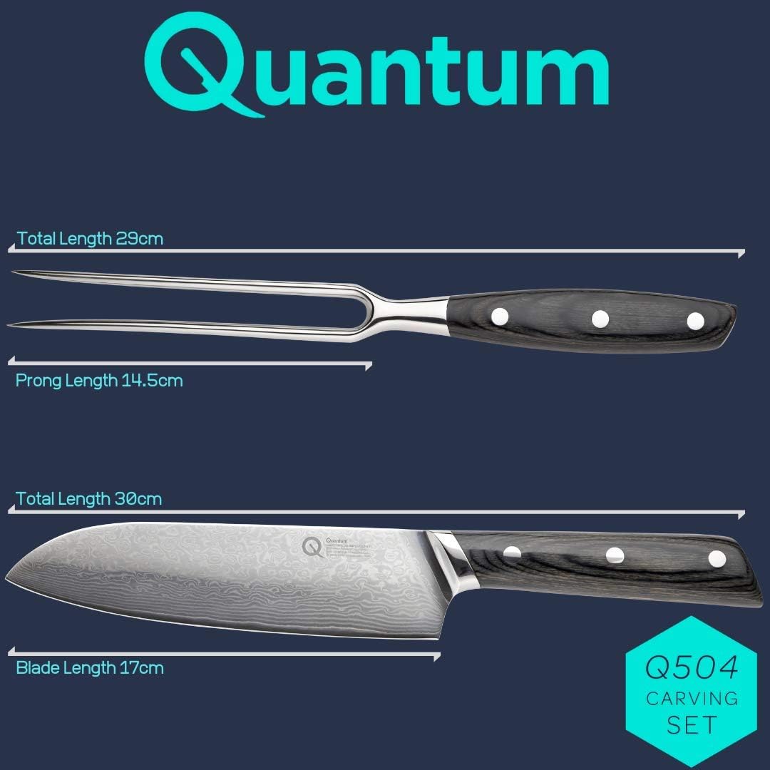 Taylors Eye Witness Quantum Pakka Wood Fork & Carving Knife Set – 2pc ...