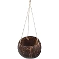 Amazon.com: GANAZONO Coconut Shell Flowerpot Orchid Pot Decor Flower ...