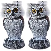 Amazon.com: ZSYAIIQ 2 Packs Fake Plastic Owl Bird, Garden owl Statue ...