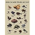 Amazon.com : Tree Free Greetings Feeling Like Poop Funny Get-Well Cards ...