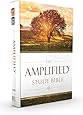 The Amplified Study Bible, Hardcover: Zondervan: 0025986440305: Amazon ...
