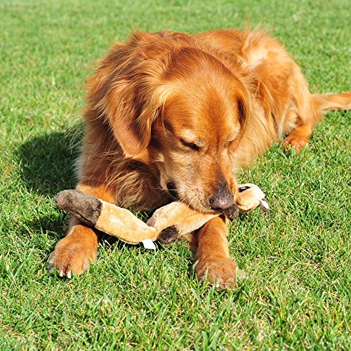 ZippyPaws - Zingy No Stuffing Durable Squeaky Plush Dog Toy - - Want It All