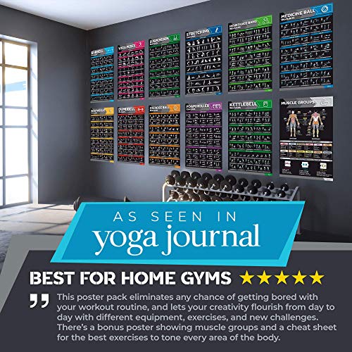 16-Pack Laminated Large Workout Poster Set - Perfect Workout Posters ...