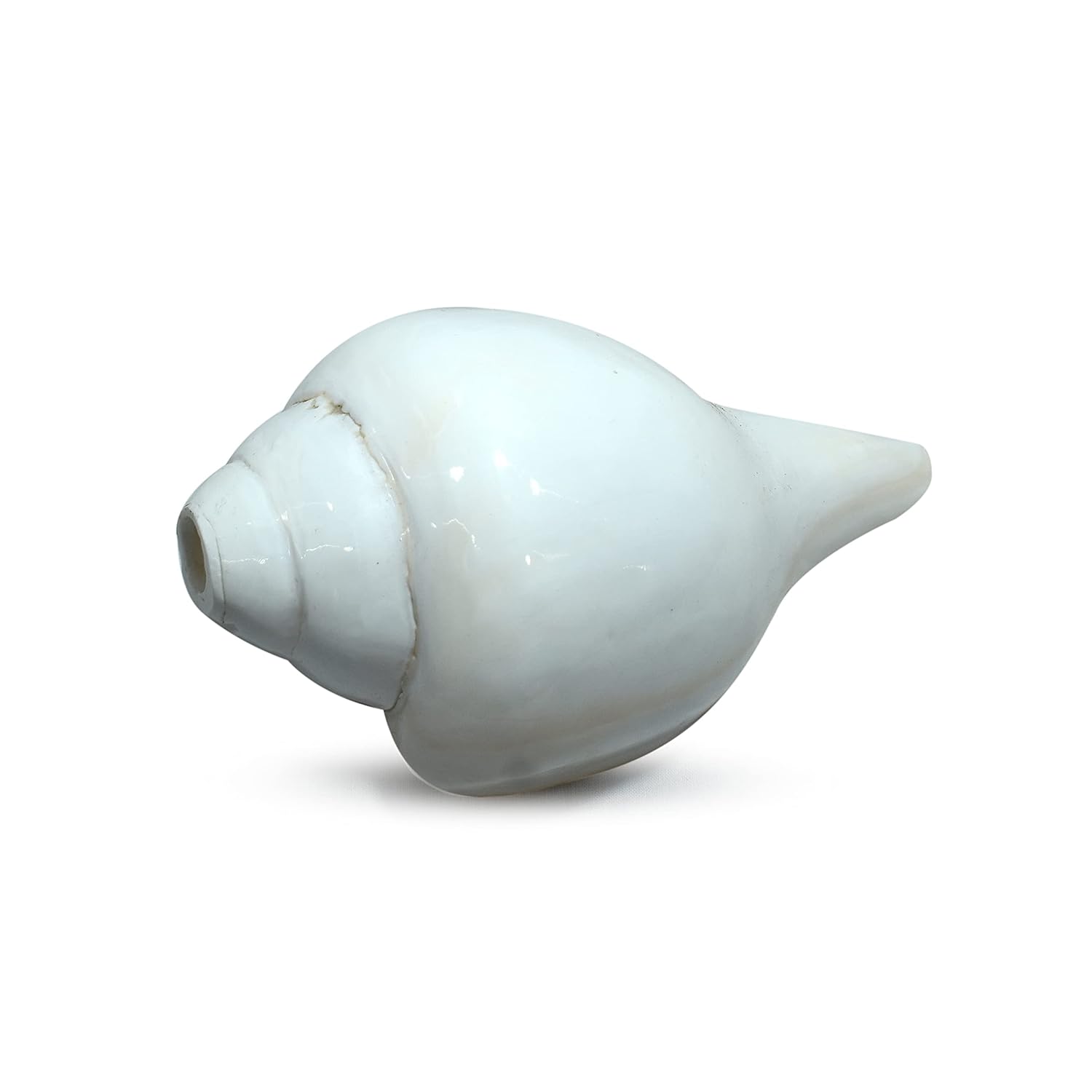 Buy NIGAMASUDHA- Pure original sankha for puja in home (Pack of 1 ...