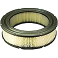 Amazon.com: Genuine Briggs & Stratton 692519 Round Air Filter Cartridge ...