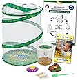 Amazon.com: Insect Lore Butterfly Garden | Butterfly Kit with Live ...