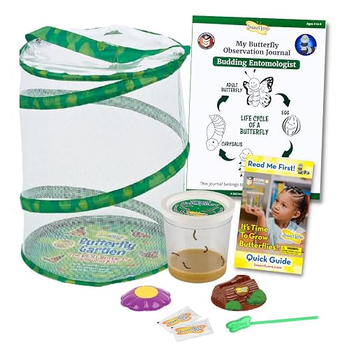 Insect Lore Butterfly Garden Kit - 5 Live Baby Caterpillars, Habitat ...