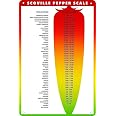Amazon.com: Vintage Tin Sign Scoville Pepper Scale Retro Metal Signs ...