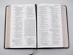 The Holy Bible, English Standard Version (with Cross-References): Old ...