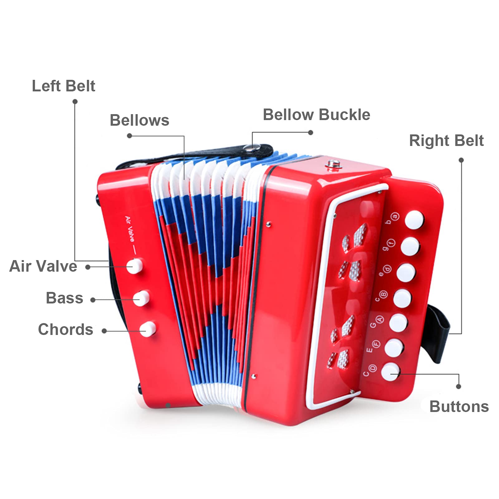 Mua Tosnail Small Accordion, 10 Keys Buttons Control Musical ...
