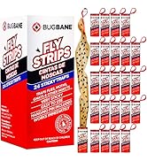 Amazon.com : Fly Strips Indoor Sticky Hanging 24 Pack. Fly Paper Strips ...