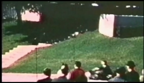 Watch I Shot Jfk& The Shocking Truth on Amazon Live