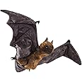 Amazon.com: Folkmanis Fruit Bat Hand Puppet, Brown, Black : Toys & Games