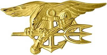 Amazon.com: U.S. Navy Seal Badge Special Warfare Large Gold Finish ...