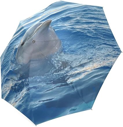 Amazon.com: Artsadd Fashion Umbrella Dolphin Foldable Sun Rain Travel ...