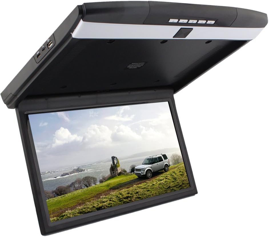 15''HD 1080P del coche de montaje en techo, tapa de monitor de pantalla ...