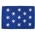 Amazon.com : Washington's Commander-in-chief - Historic Flag 3 ft x 5 ...