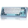 Amazon.com: BOYI GMK67-65% Wireless Mechanical Keyboard,Tri-Mode BT5.0/ ...