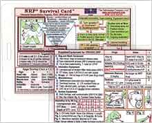 NRP (Neonatal Resuscitation Program) Survival Card-(Small 3x4 3/8 in ...